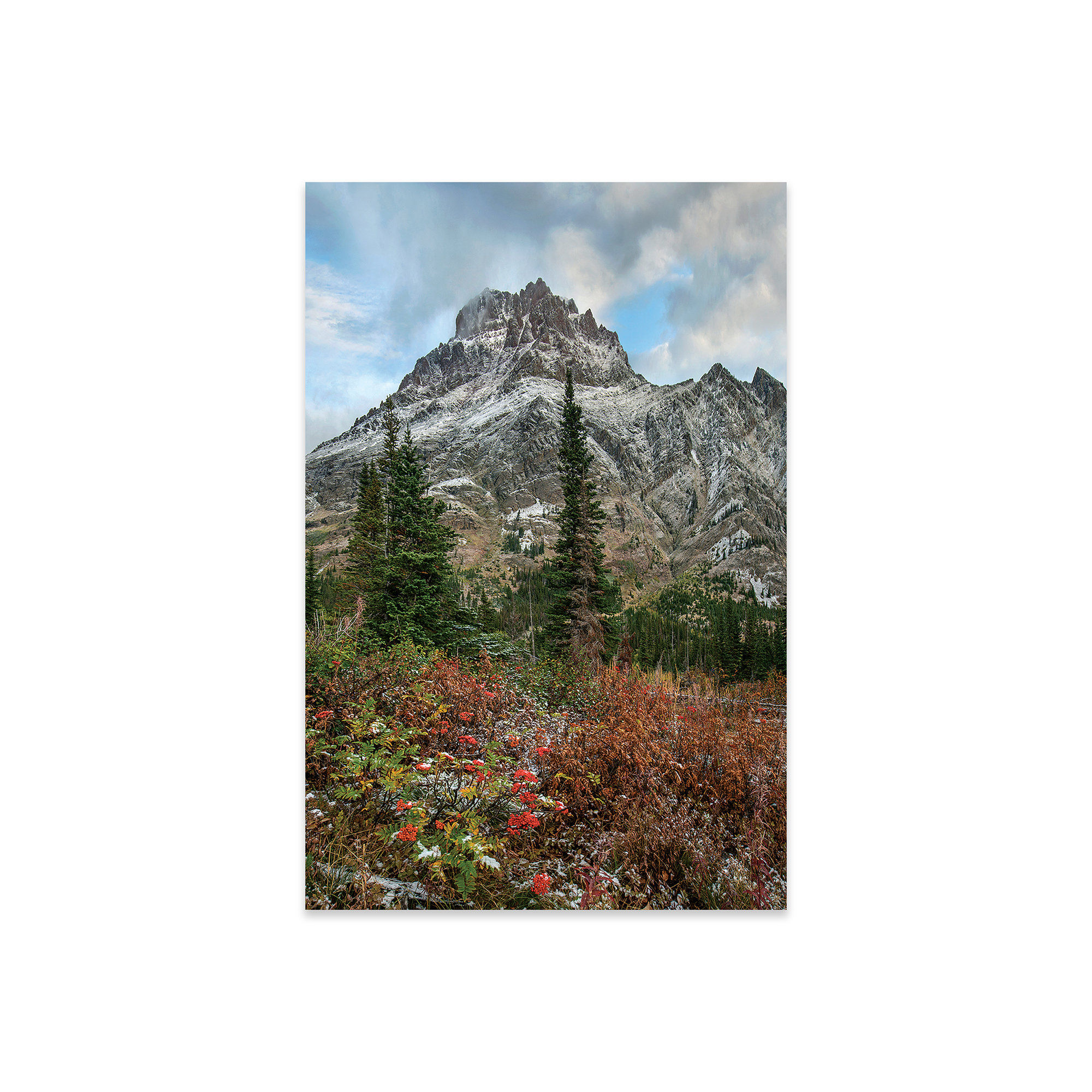 Millwood Pines Appolinaire Rising Wolf Mountain, Glacier National Park, Montana On Plastic ...